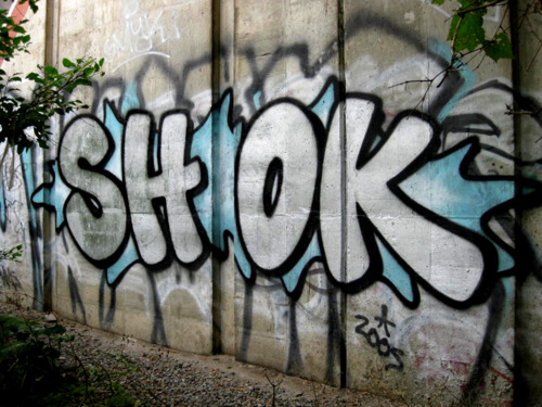 Mook-Life Tumblr - Bombing Science