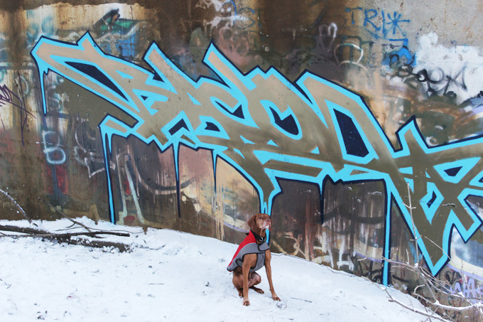 Bacon - Bombing Science