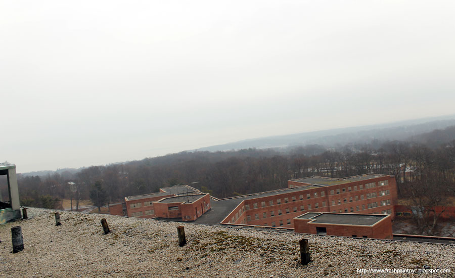 The Asylum - Bombing Science