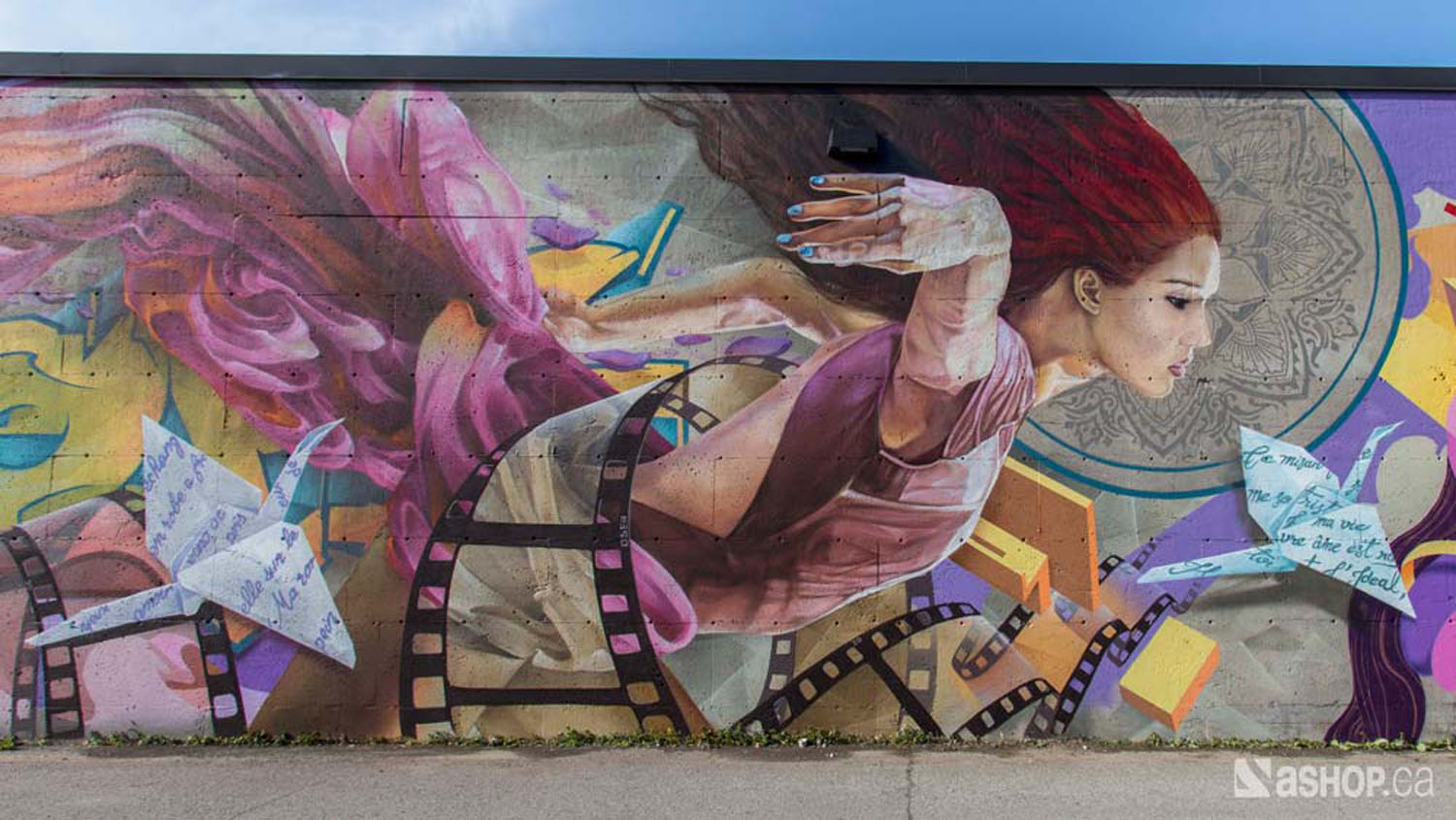 ASHOP - The Sage & The Muse - Bombing Science