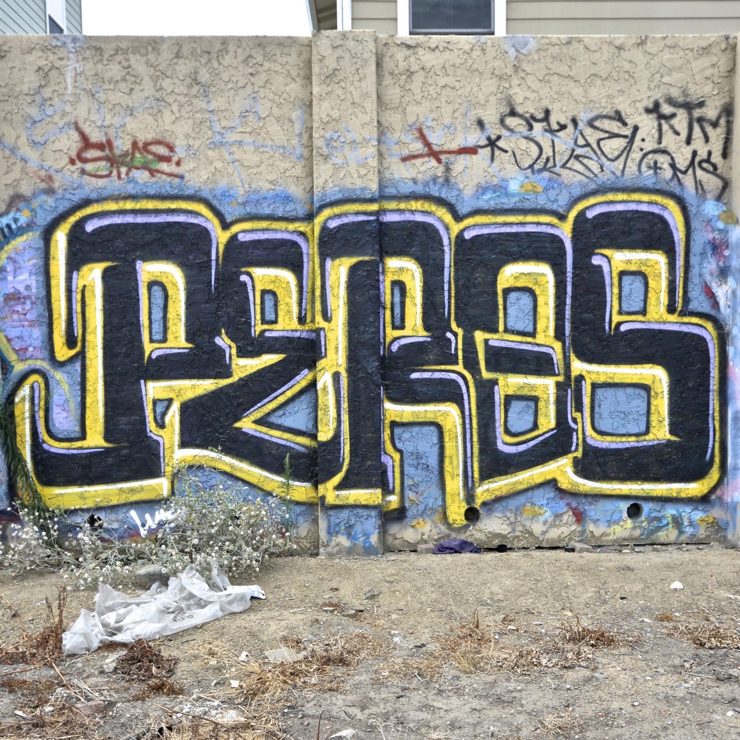 PEROS interview - Bombing Science