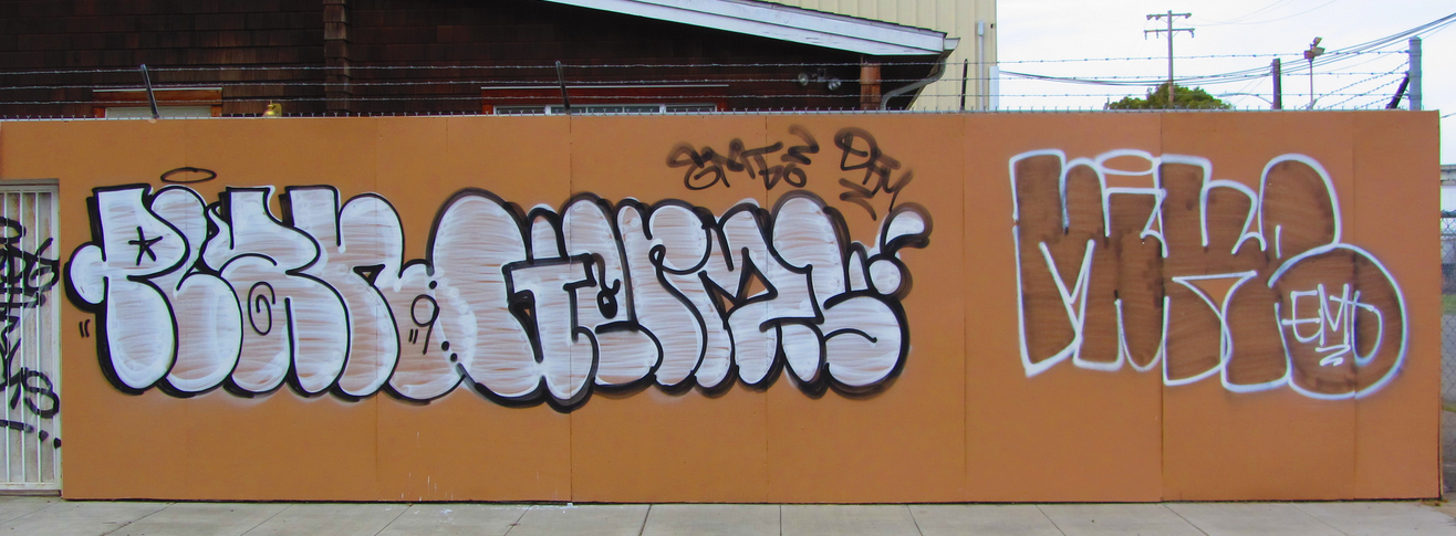 Germs EMT (San Francisco) Graffiti Writer Interview | Bombing Science