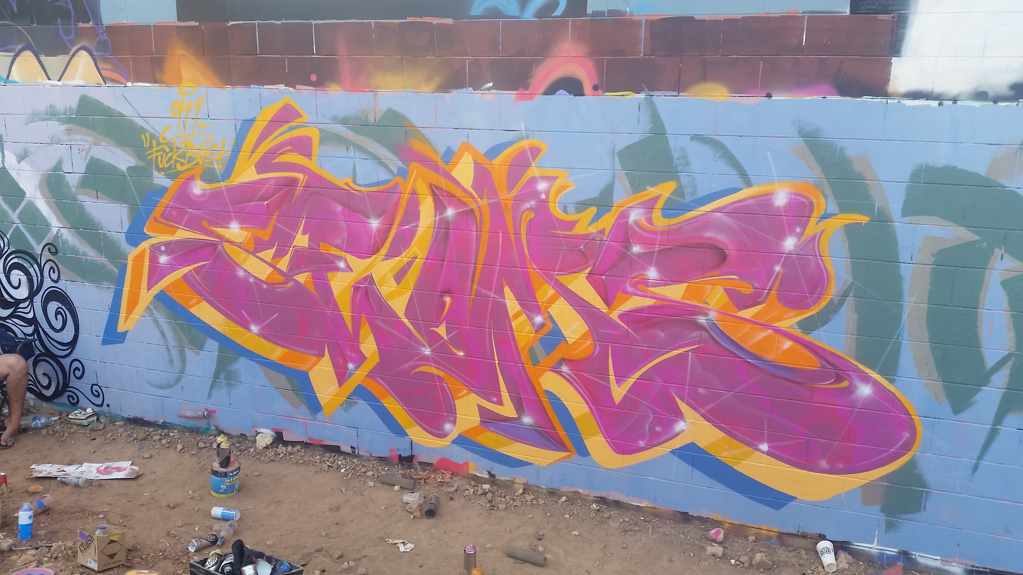 Seams (Darwin) Graffiti Writer Spotlight | Bombing Science