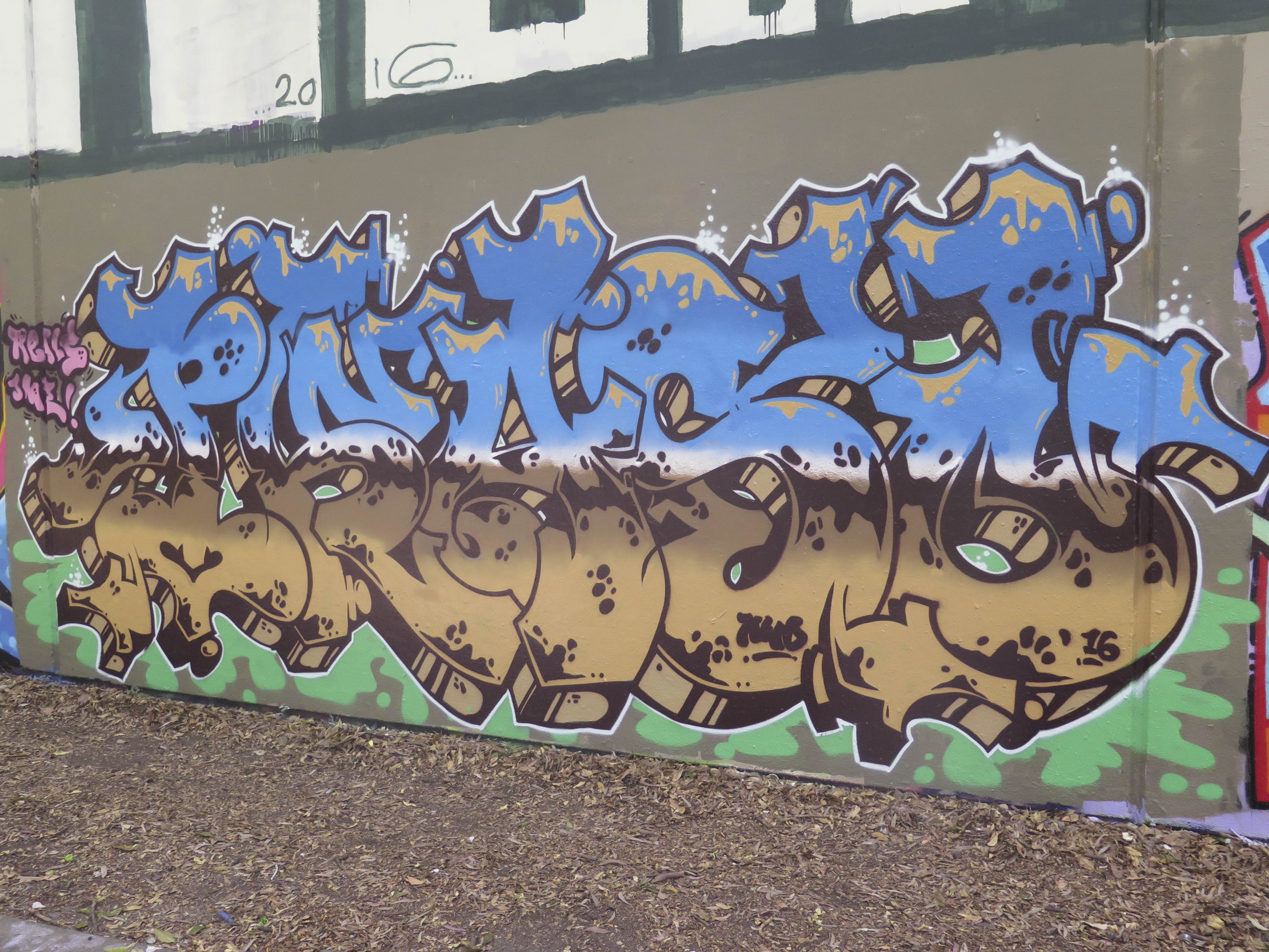 PKASO (Brisbane) Graffiti Writer Interview | Bombing Science