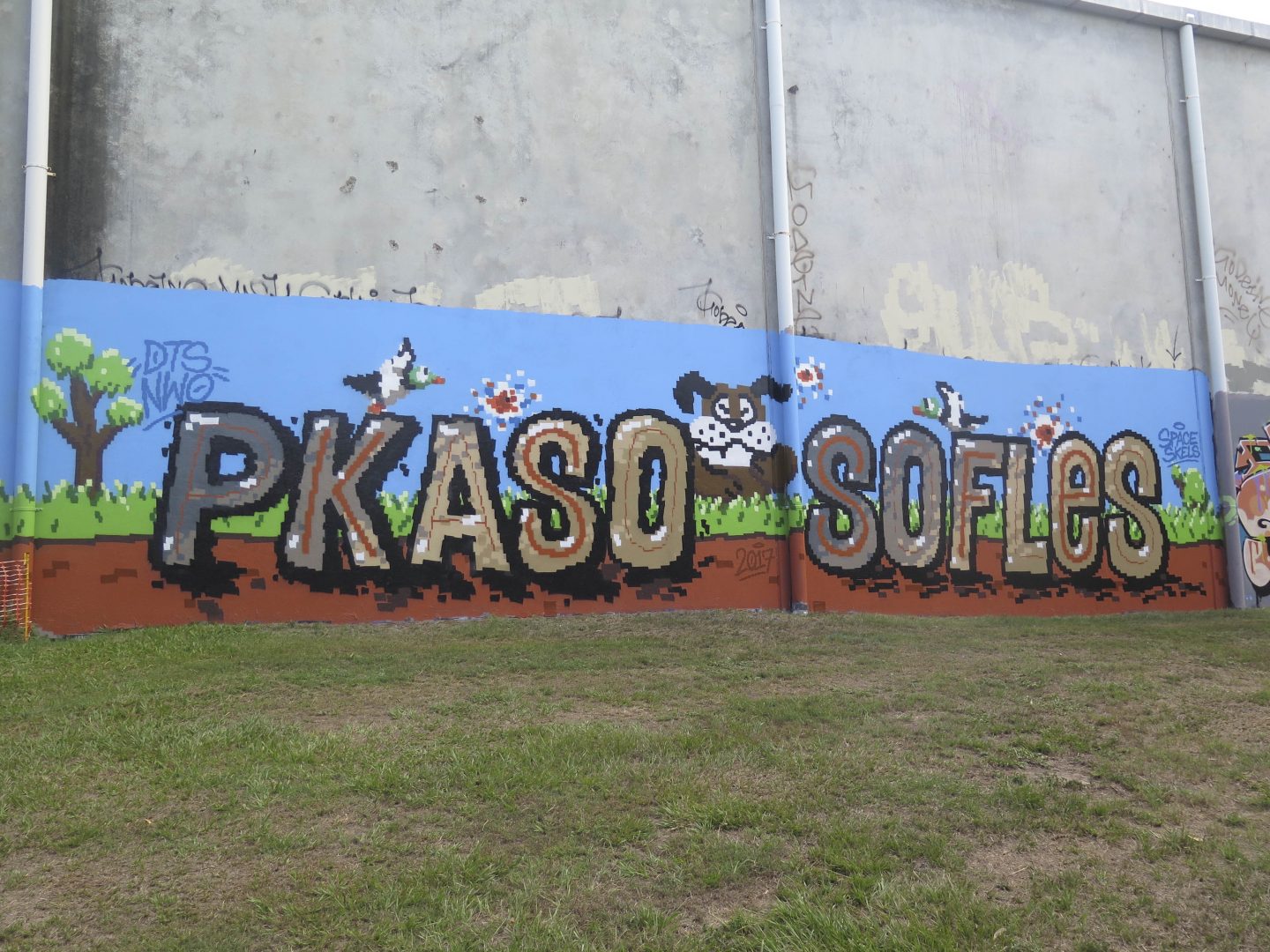 PKASO (Brisbane) Graffiti Writer Interview | Bombing Science