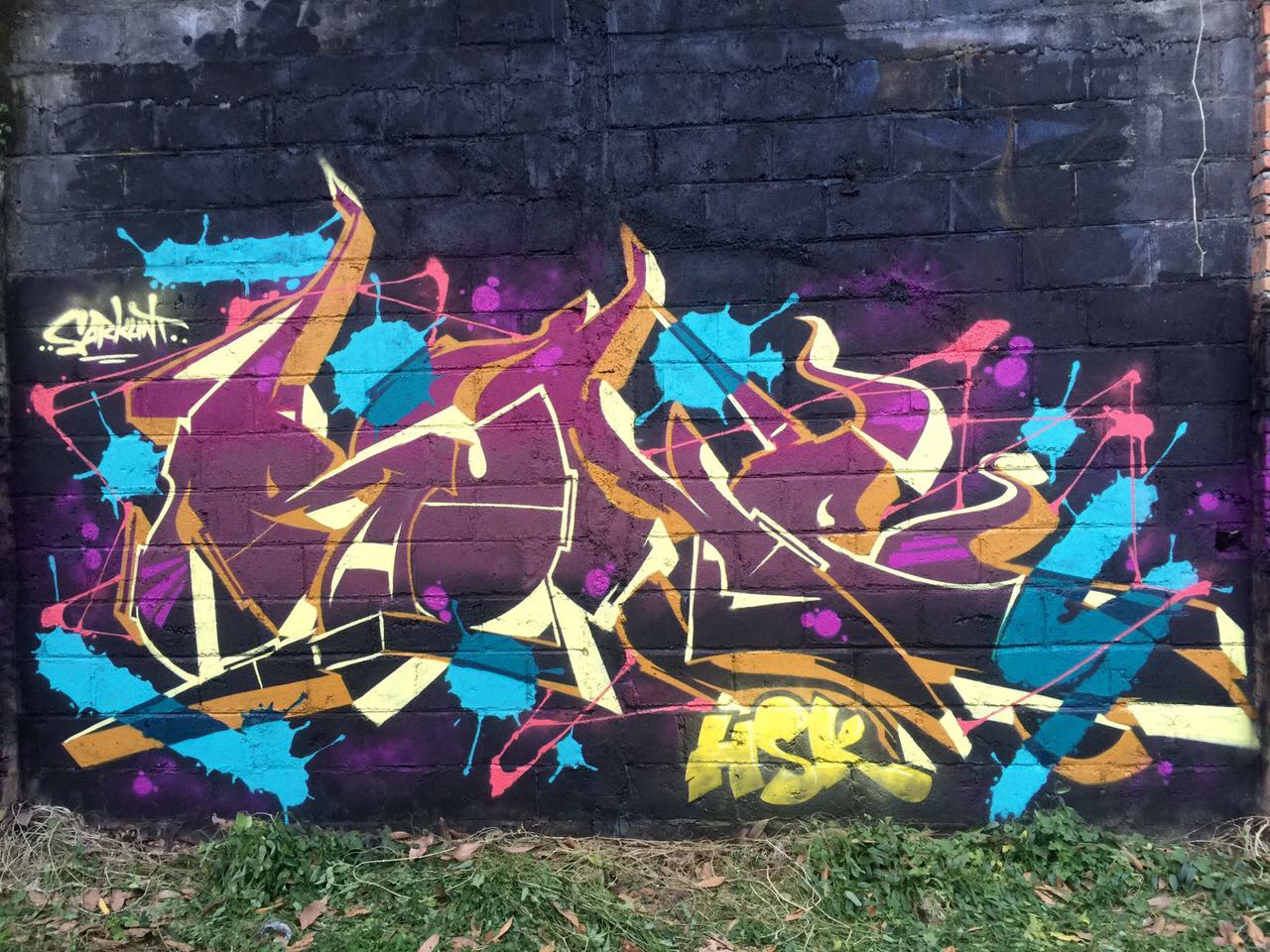 Rune HSK Graffiti Writer Interview | Bombing Science