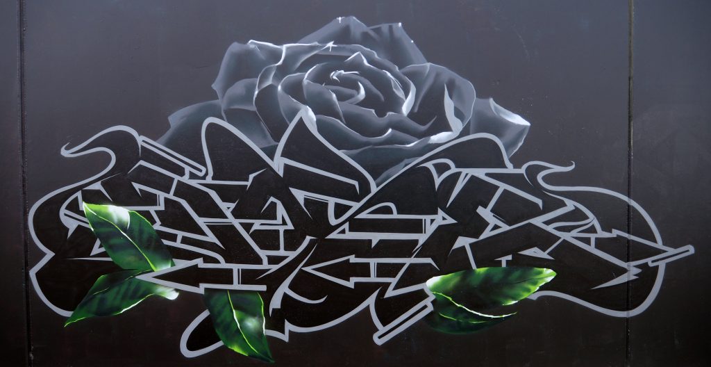 Dose (Melbourne) Graffiti Writer Spotlight | Bombing Science