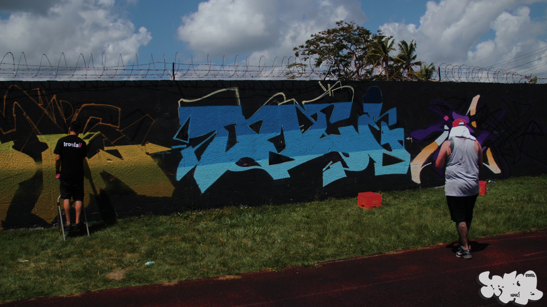 Graffiti Video: TRACE | Bombing Science