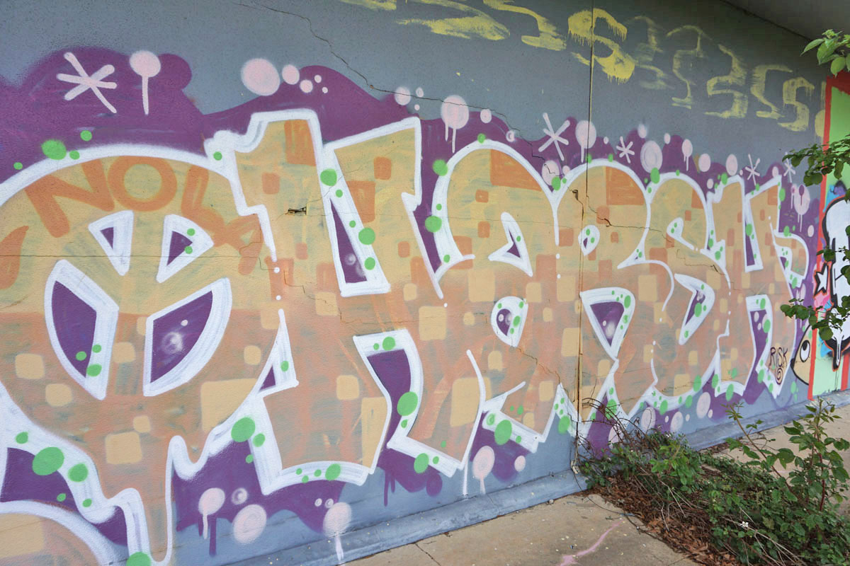 New Orleans Graffiti: The Walls - Bombing Science