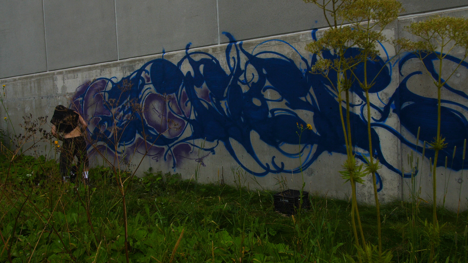Graffiti Session: ZONER - Bombing Science