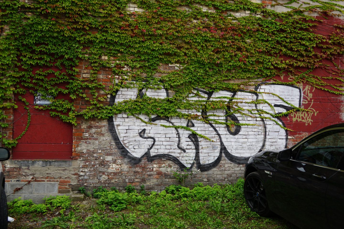 Graffiti Report: Buffalo, NY - Bombing Science