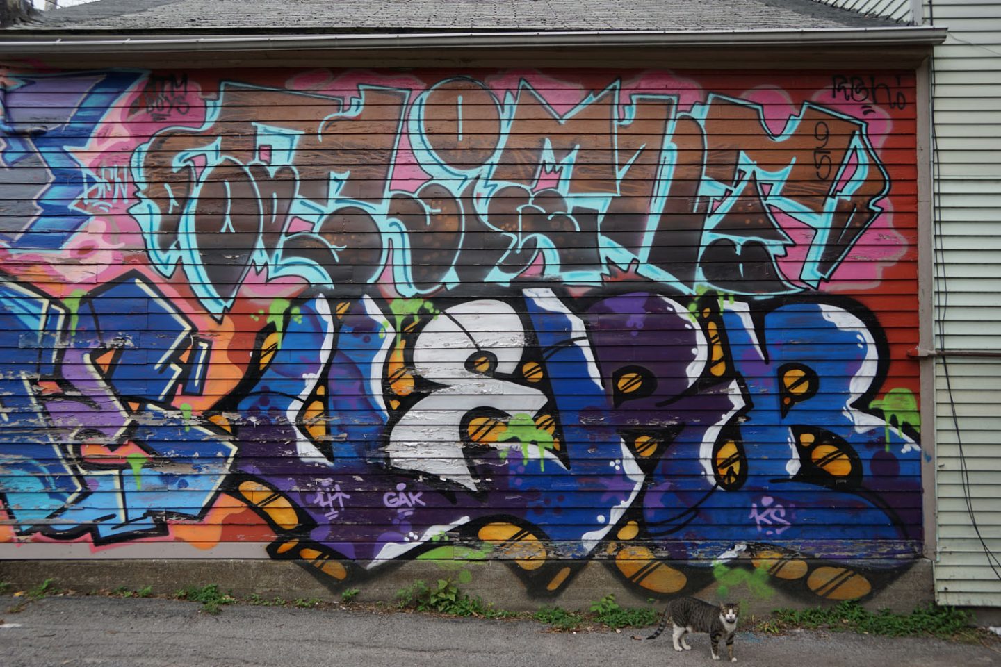 Graffiti Report: Buffalo, NY - Bombing Science