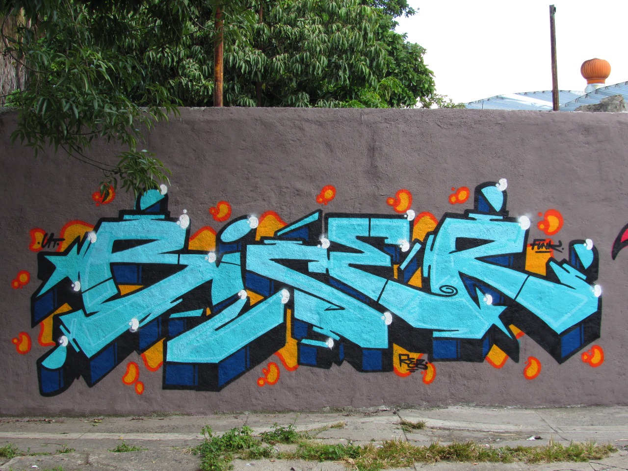 Bizer (Guadalajara) Graffiti Writer Spotlight - Bombing Science