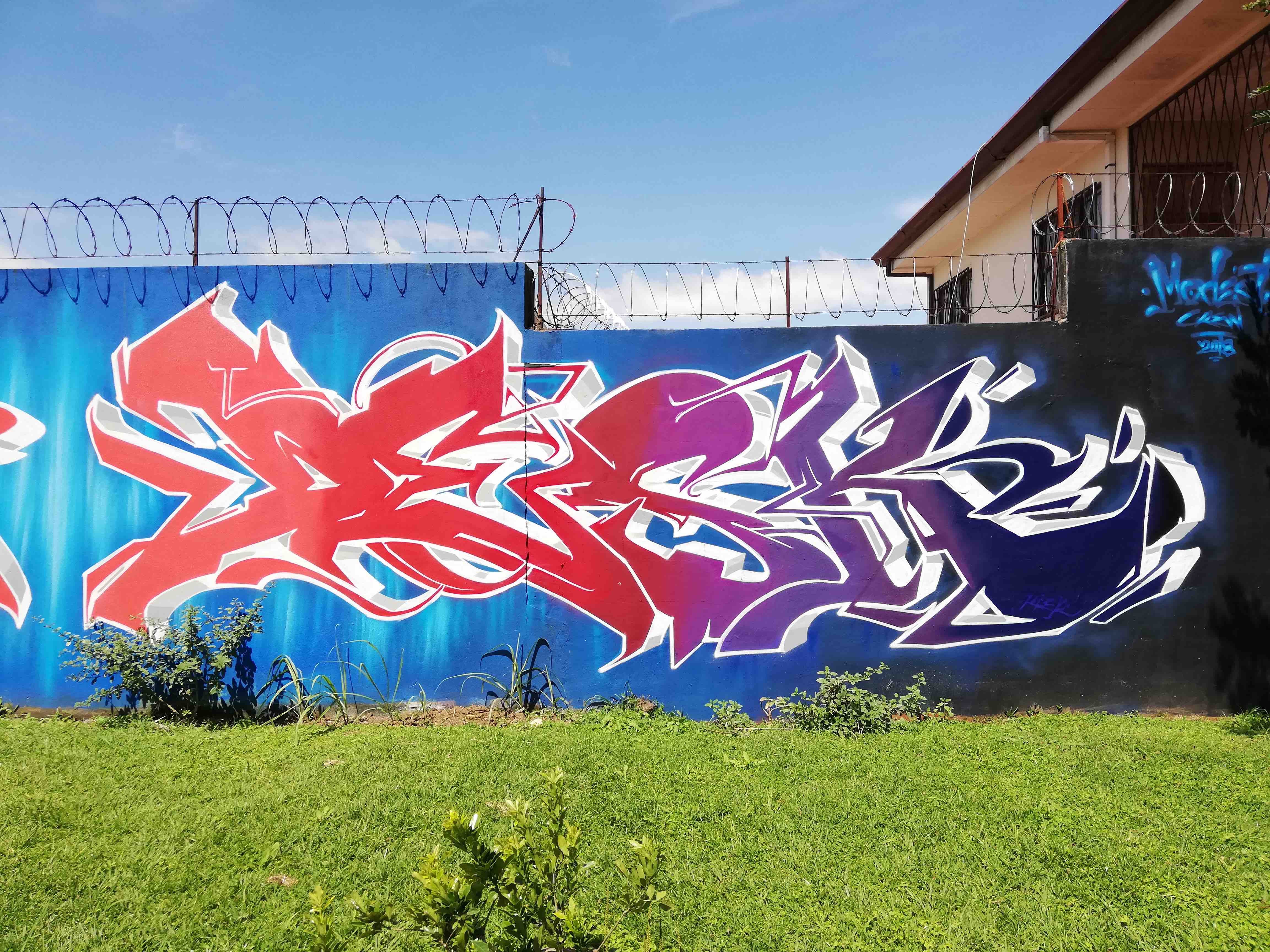 Desk (Costa Rica) Graffiti Writer Spotlight - Bombing Science