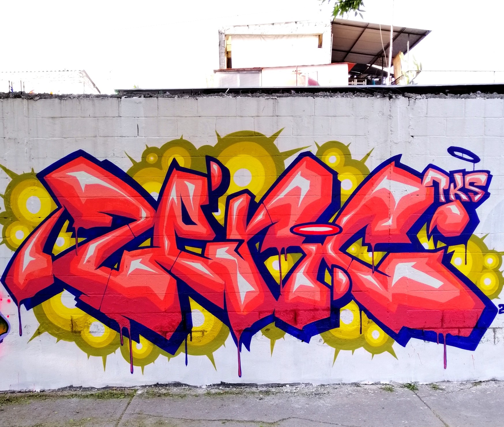 Serik Mexico City Graffiti Spotlight