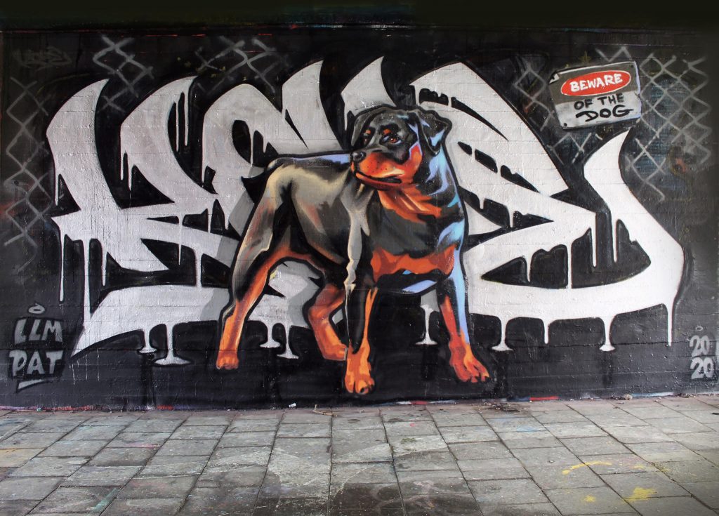 Kone (Netherlands) Graffiti Writer Spotlight - Bombing Science