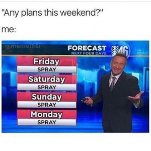 Graffiti Memes Overload (Over 75 Graff Memes!) | Bombing Science