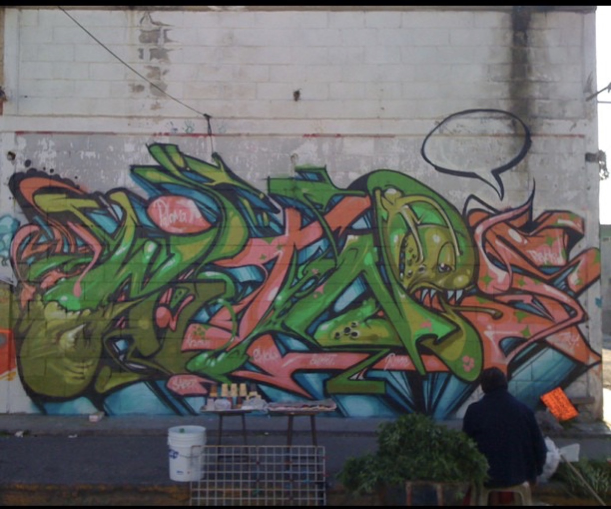 TYKE AWR - Graffiti Writer Interview | Bombing Science