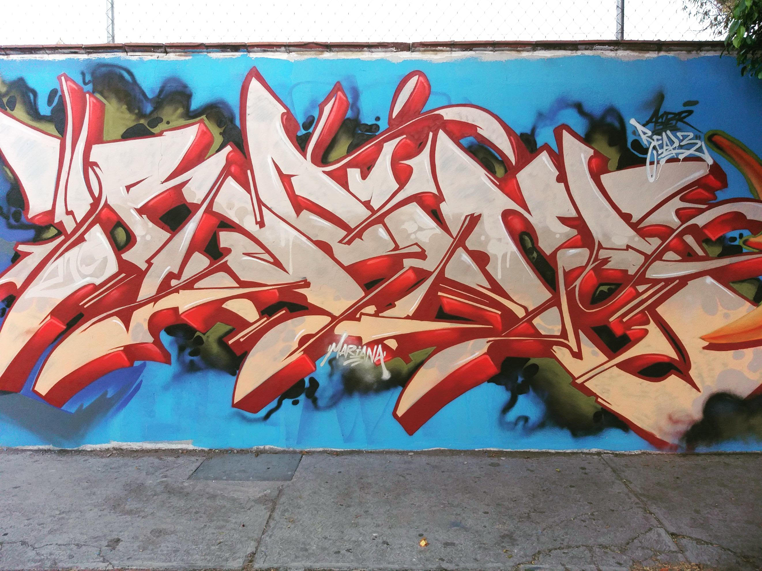 Roye (Mexico) Graffiti Writer Spotlight - Bombing Science