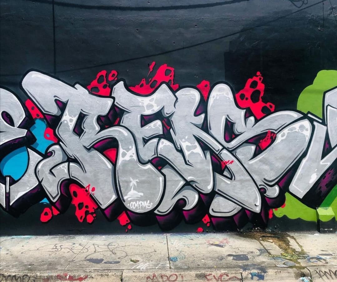 REDS (Miami) Graffiti Writer Interview | Bombing Science