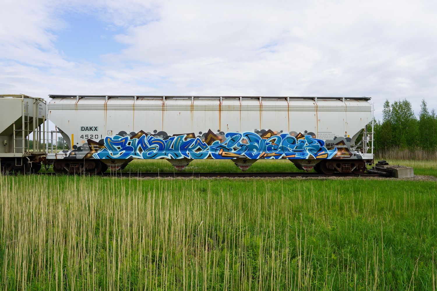 Graffiti Video: SNOK & JANEK; End Of The Line - Bombing Science