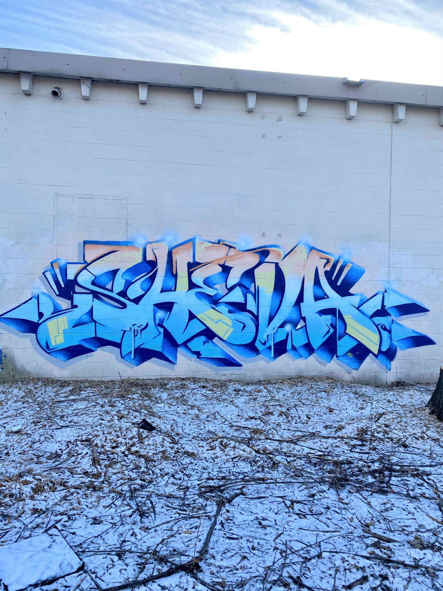 Sheva - Graffiti Writer Interview | Bombing Science