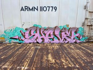 Sheva - Graffiti Writer Interview | Bombing Science