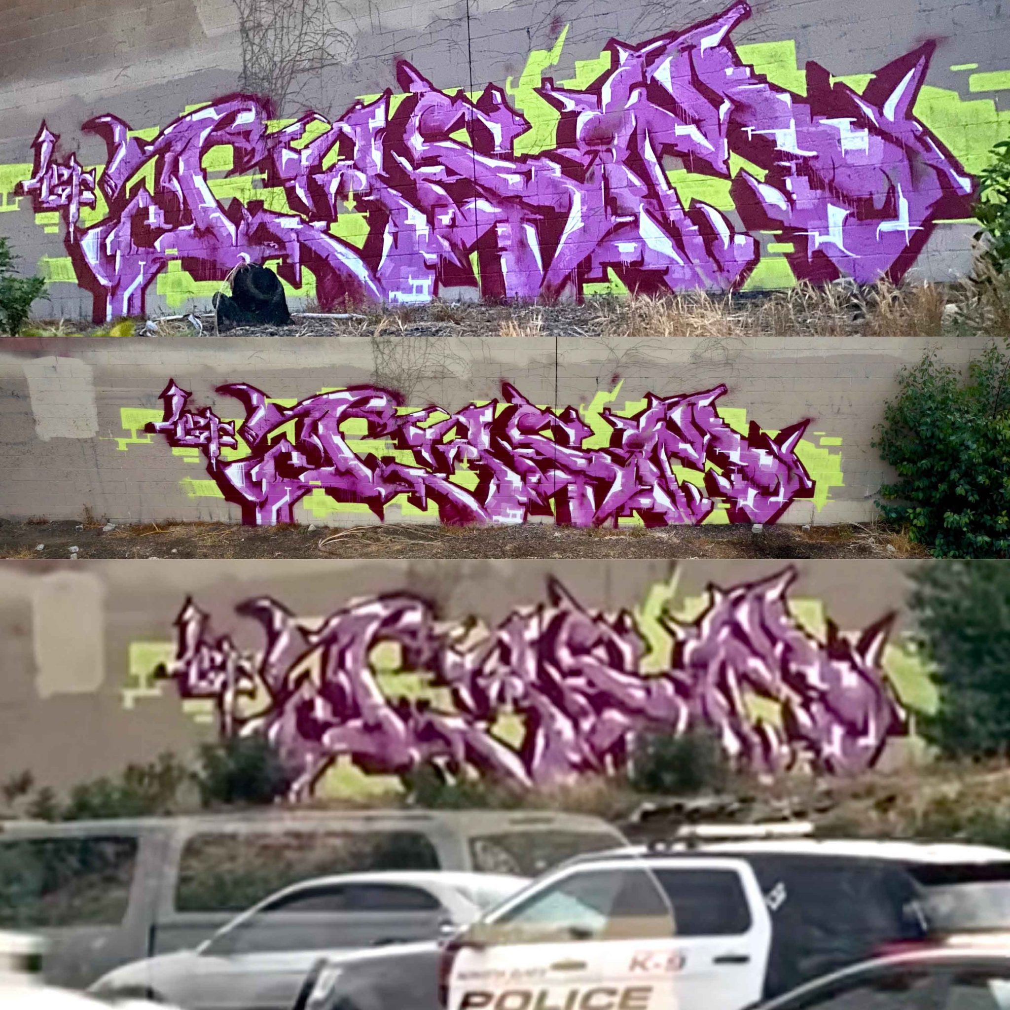 Graffiti Writer Interview: Jsme - Bombing Science