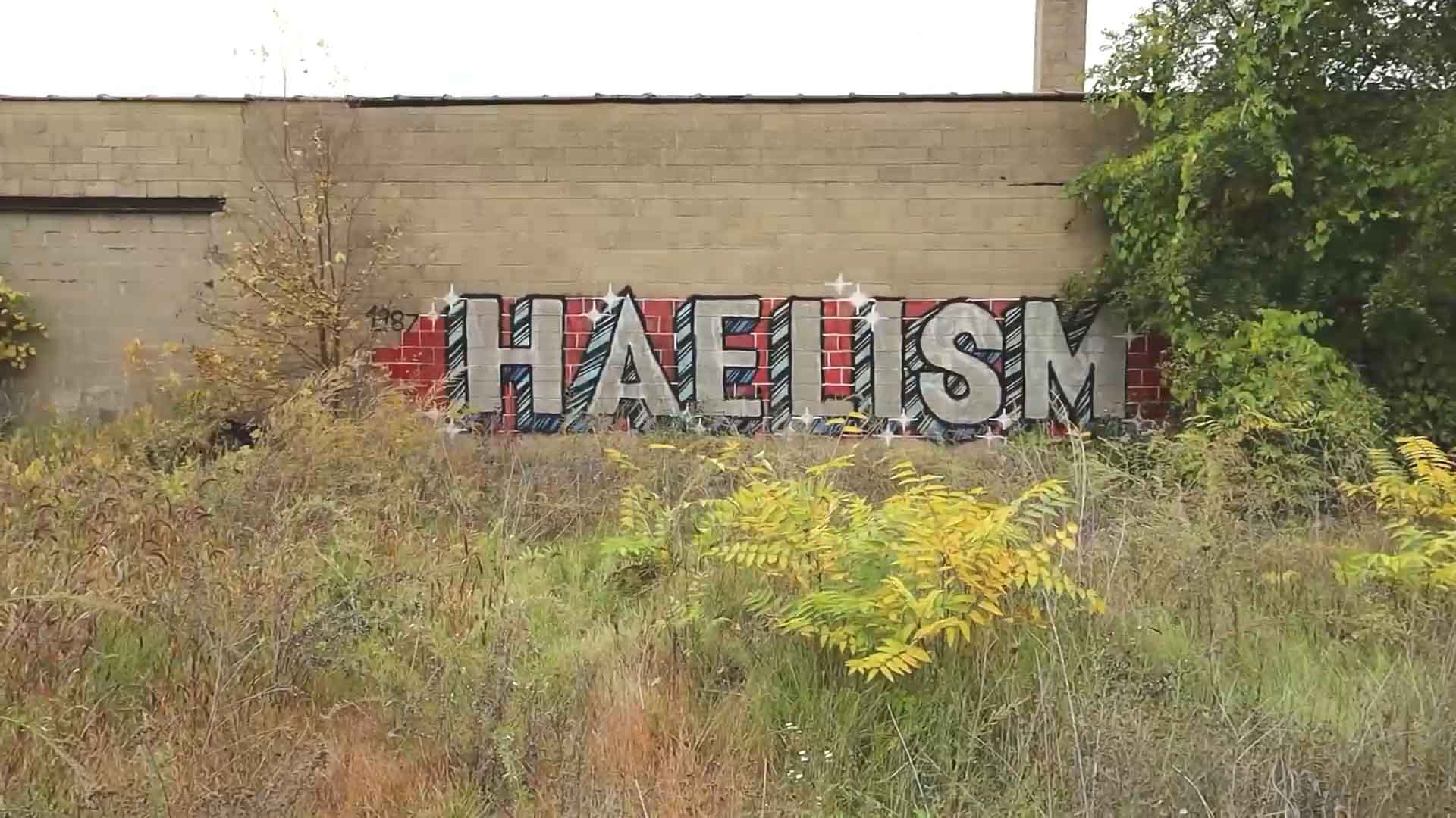 Graffiti Video: HAELER X BazookaFilms77 - Bombing Science