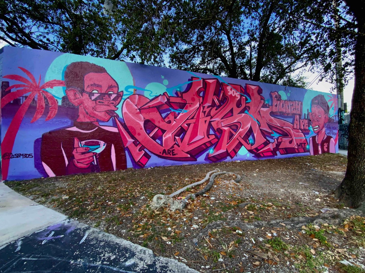 Interview: Disem - Bombing Science