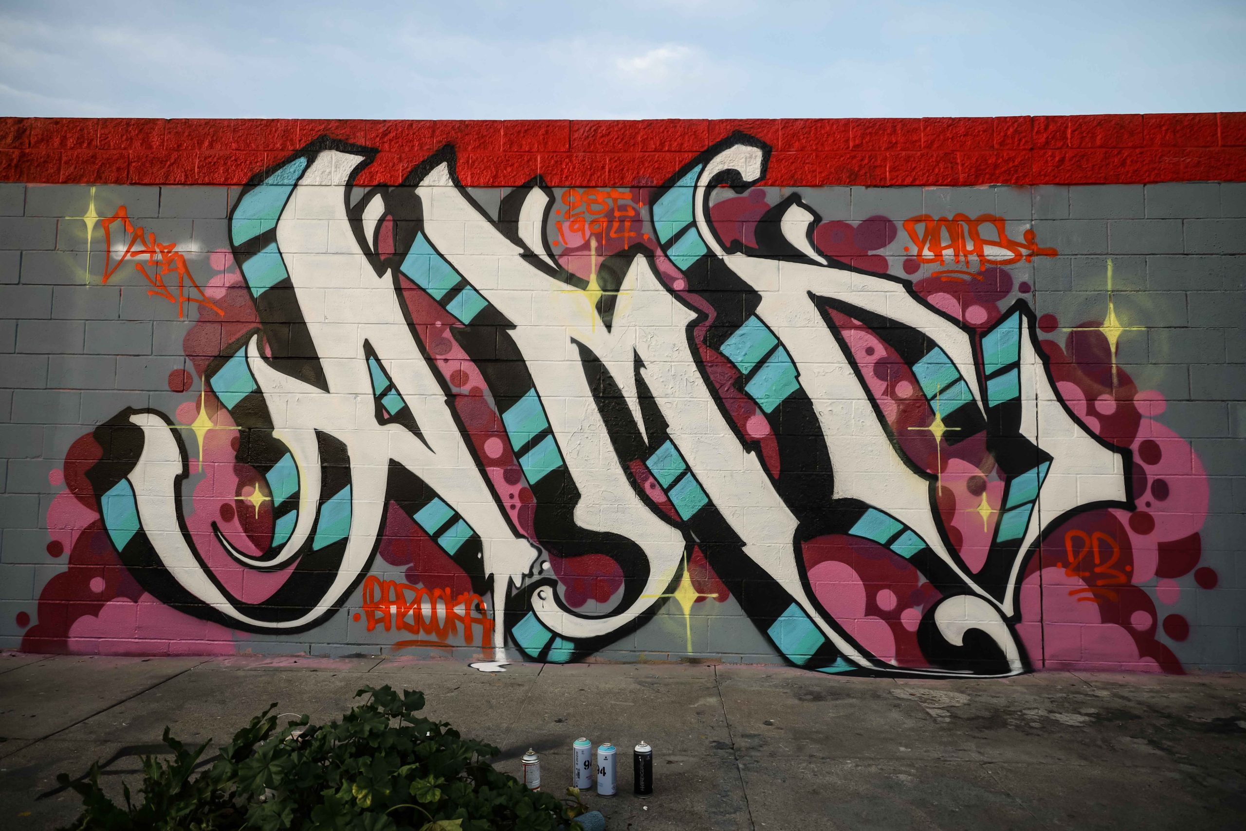 Graffiti Video: SLEP X ZAPS AMC - Bombing Science