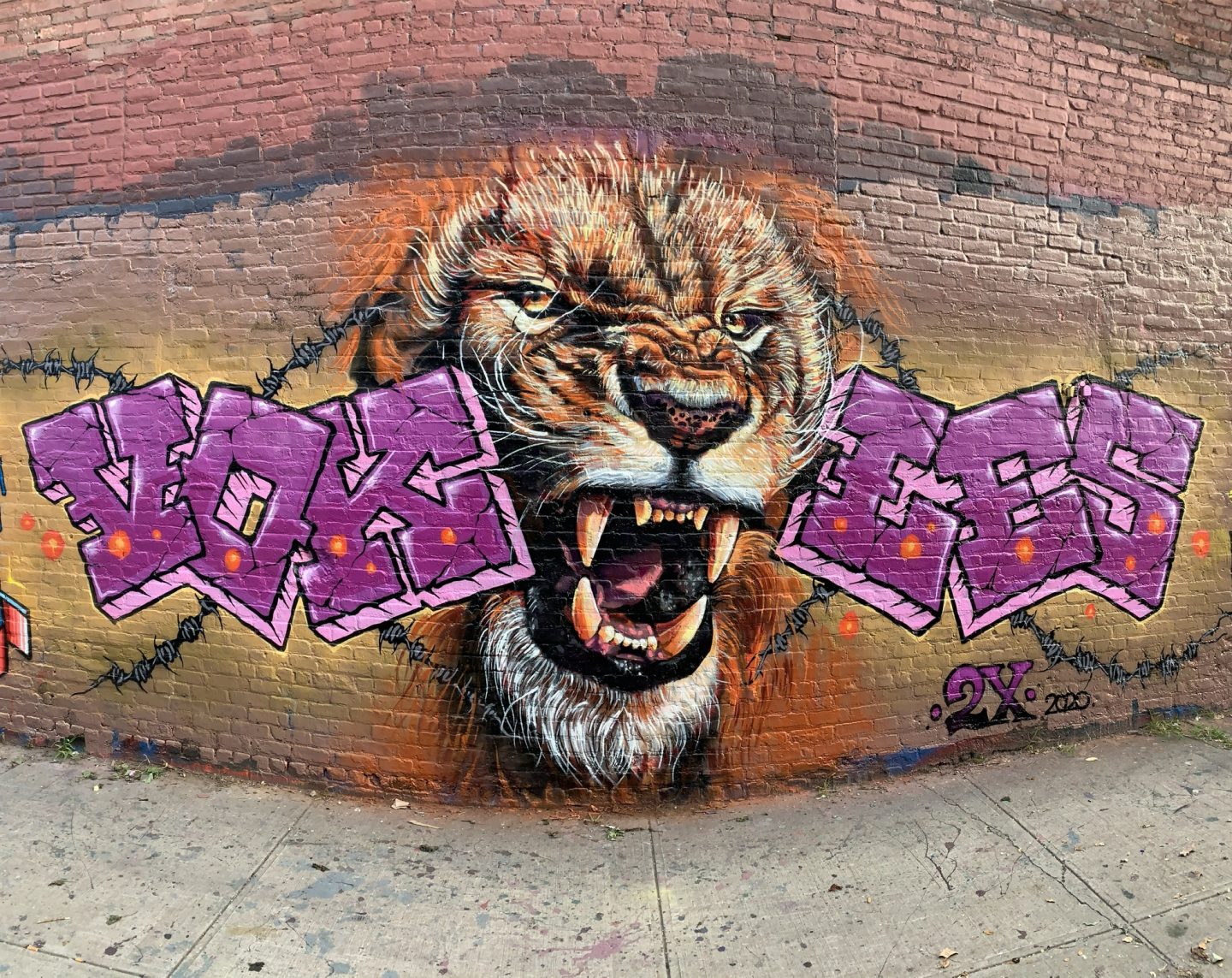 Graffiti interview: Vokles - Bombing Science