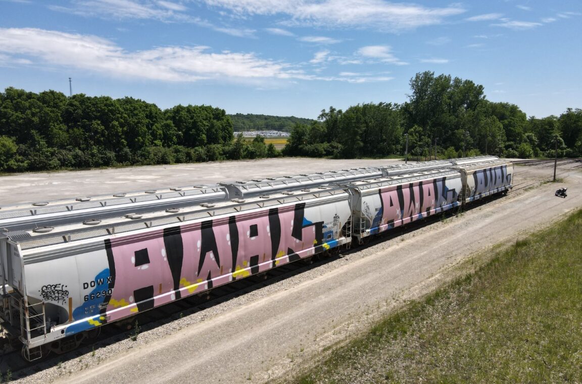 Graffiti Writers features | Bombing Science